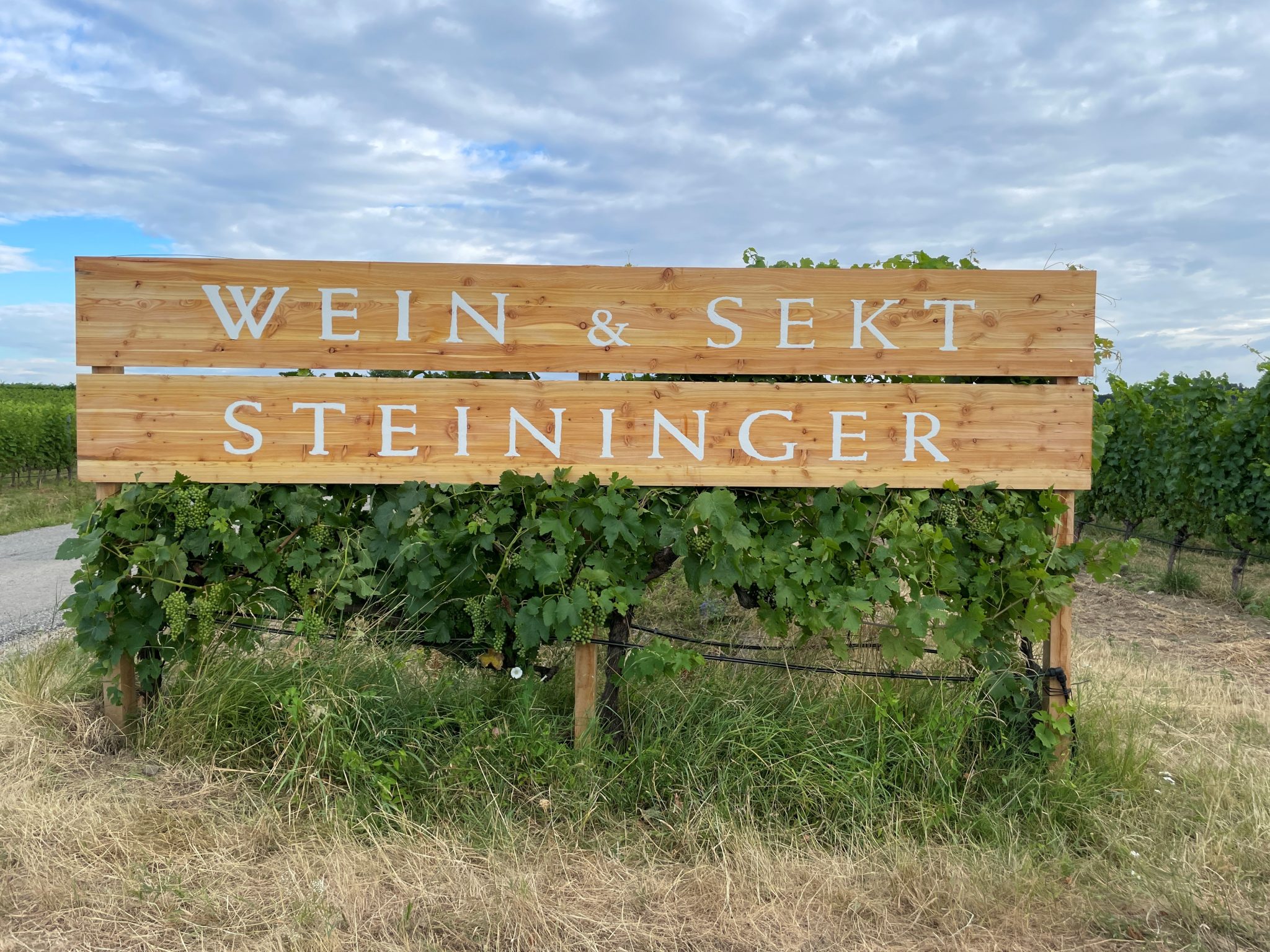 Weingarten Heier Stein